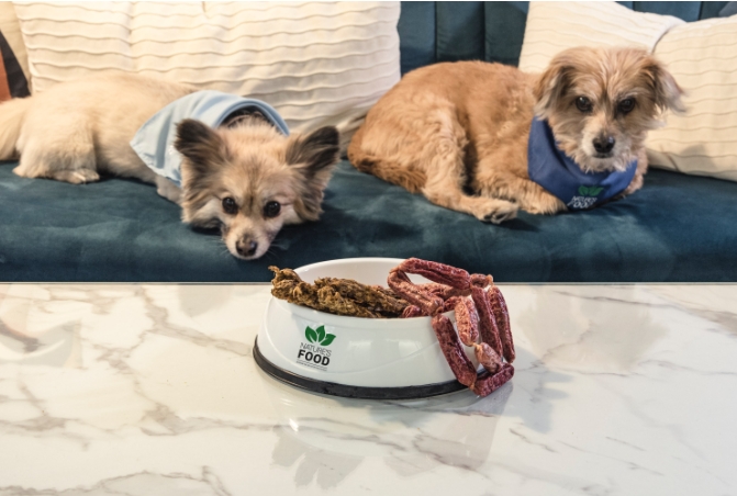 Promoting Pet Care Excellence: Custom Products for Veterinary Clinics ...