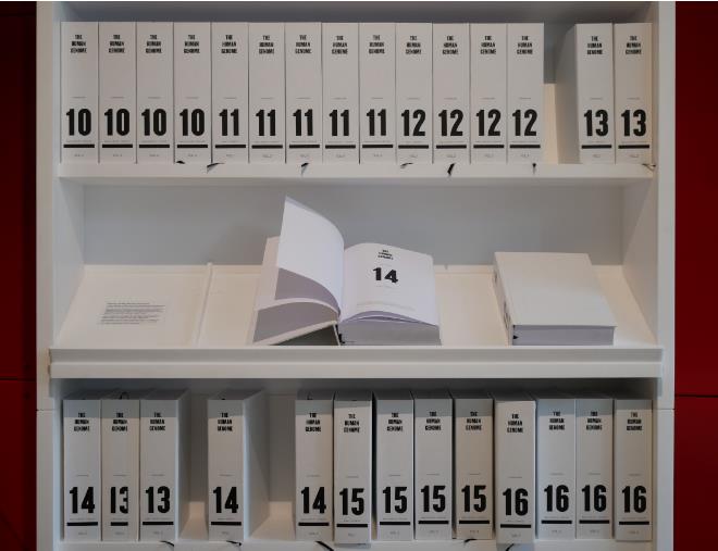 Elevating Legal Representation: The Power of Custom Folders for Law ...